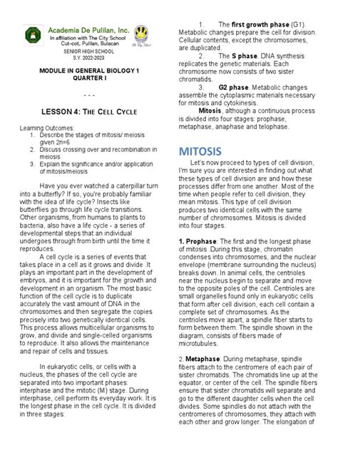 Gen Bio 1 Lesson 4 Pdf Mitosis Meiosis