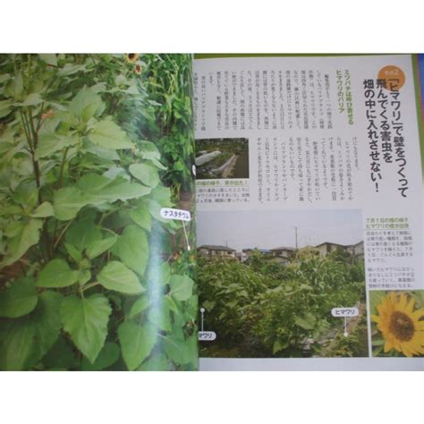 コンパニオンプランツで無農薬の野菜づくり 増補改訂版 森の広場ヤフーショップ 通販 Yahooショッピング
