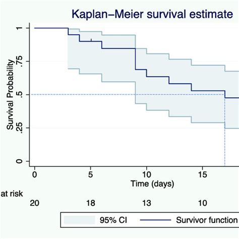 Survival Survivor Function Estimated By The Kaplan Meier Method