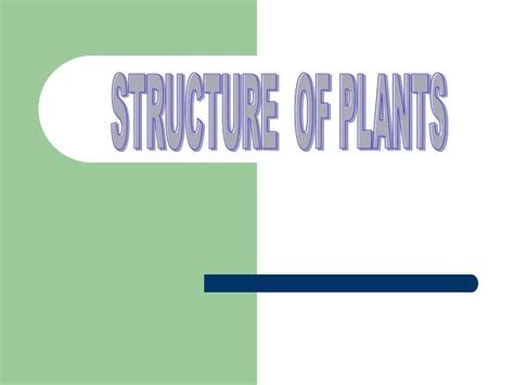 PPT STRUCTURE OF PLANTS PowerPoint Presentation Free Download ID 359311