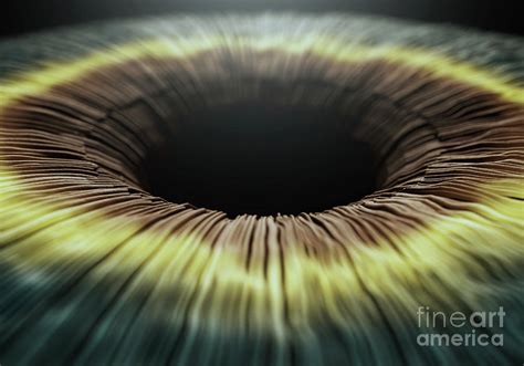 Eye Iris Microscopic Digital Art By Allan Swart Fine Art America