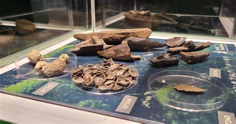 Wystawa w Muzeum Początków Państwa Polskiego Wśród eksponatów