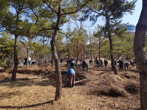 나주시 공공산림가꾸기 추진