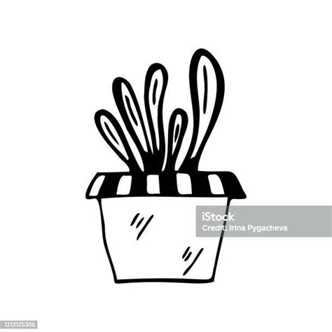 흰색 배경에 고립 된 냄비에 손으로 그린 꽃 낙서 간단한 개요 그림 그것은 섬유 종이의 장식에 사용할 수 있습니다 검은색에 대한