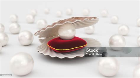 빨간 벨벳 베개 안에 진주가 있는 조개 보석 여성 쥬얼리 감아 구슬 배너 포스터 로고 반짝이는 바다 진주 조개 아름 다운 진주 3d 그림 가까운에 대한 스톡 사진 및 기타