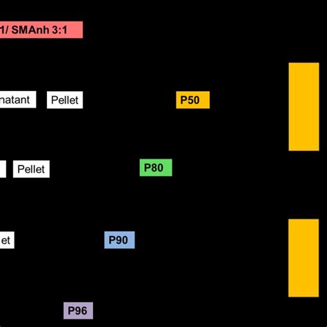 Schematic Representation Of A Turbidimetry Experiment Arrow Indicates Download Scientific