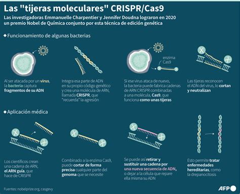 Cómo La Terapia Genética Cambió La Vida De Pacientes Con Drepanocitosis