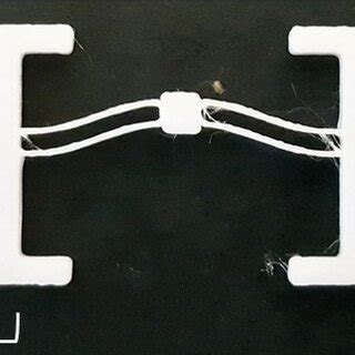 Positioning Of The Bistable Mechanism Represented In Its First Stable