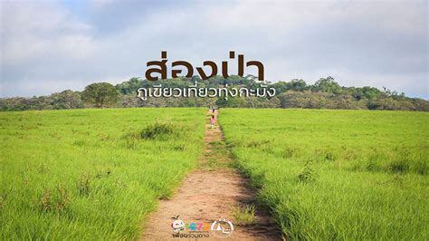 ส่องป่าภูเขียวเที่ยวทุ่งกะมัง Tat Contact Center