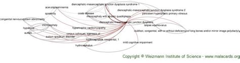Diencephalic Mesencephalic Junction Dysplasia Disease Malacards