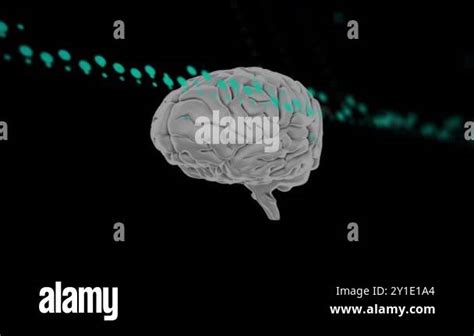 Neural Coding Stock Videos And Footage Hd And 4k Video Clips Alamy