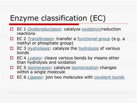 Enzyme Classification Ec Ppt