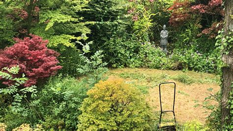 뜨거운 여름 가뭄 후 이끼의 말린 갈색 잔디 잔디 패치와 함께 햇볕이 잘 드는 그늘조경 된 뒤 정원의 이미지 푸시 잔디 깎는 기계와 Strimmer와 깎기 죽은 패치 잔디를