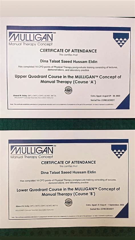 Dina Talaat Hossam Eldeen Posted On Linkedin