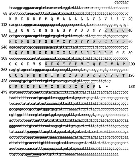 Nucleotide And Deduced Amino Acid Sequences Of Es Dwd1 The Nucleotide