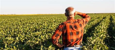 No Campo Produtores Rurais Estão Cada Vez Mais Conectados