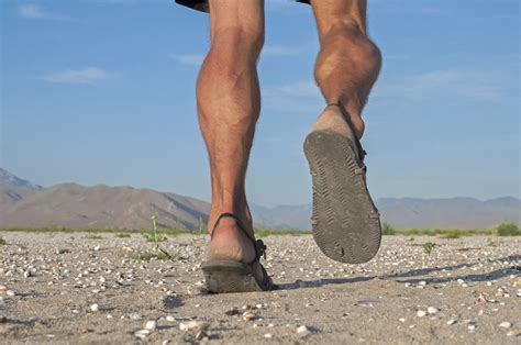 Achilles Tendon Rupture Treatment Jeffrey H Berg Md