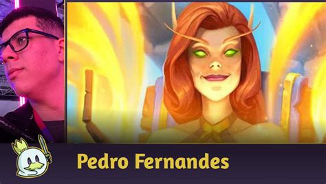 Deck Guide Tourist Paladin The Perfect Paladinrogue Mix