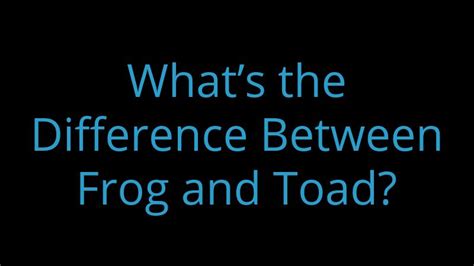 Whats The Difference Between Bullfrog And Tree Frog