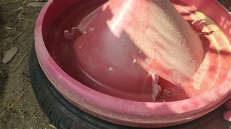 두더지 잡자 닭장보수및 먹이통개선 Youtube