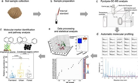 Py Gc Ms Based Workflow For The Molecular Profiling And Molecular