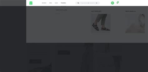 mega menu is shown behind search overlay · issue 263 · vuestorefront