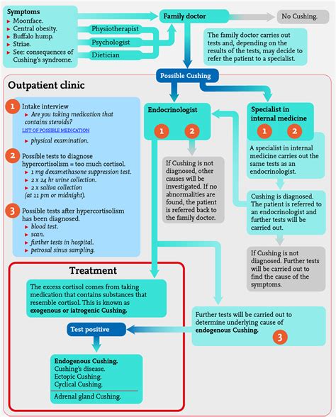 Cushings Syndrome Infographic Adrenals Eu