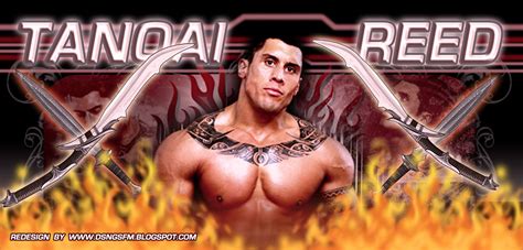 Dsngs Sci Fi Megaverse The Rocks Dynamic Stunt Double Tanoai Reed