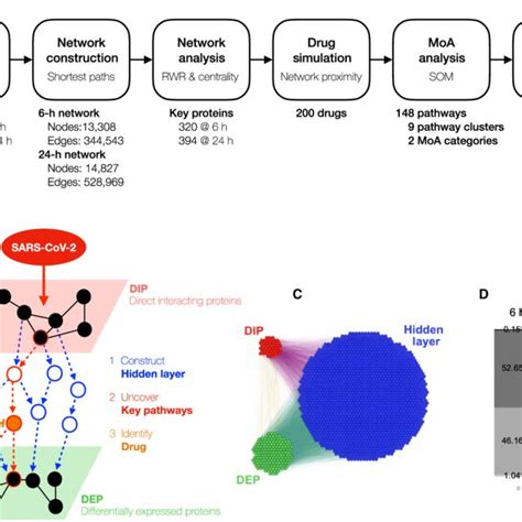 Construction Of A Sip Network A Overview And Workflow Of The In