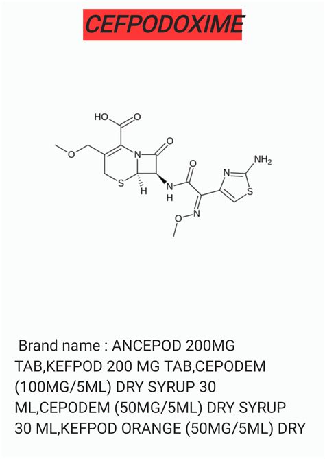 Solution Cephalosporin 3rd Generation Antibiotic Studypool