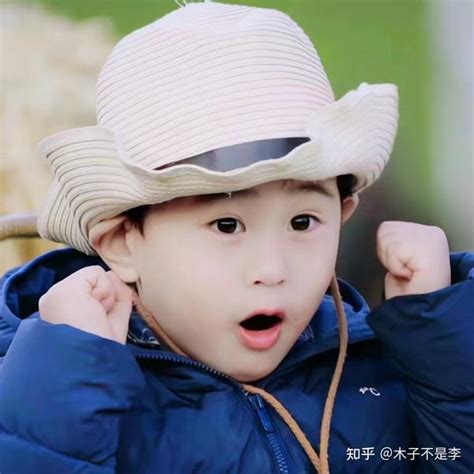 《爸爸当家》 马立奥一家为什么最受欢迎 知乎