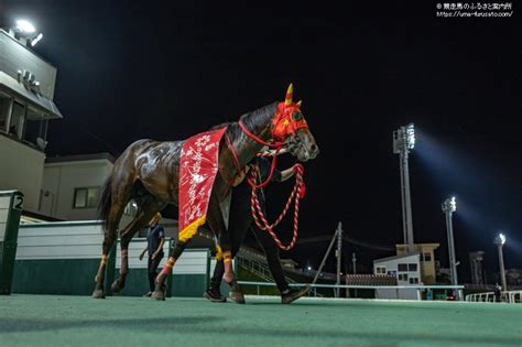 サッポロクラシックcはベルピットが重賞2連勝 馬産地ニュース 競走馬のふるさと案内所