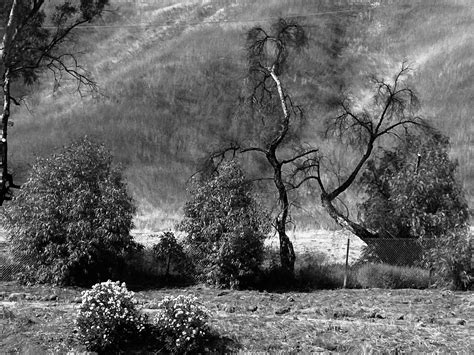 Jeffrey Allen Carrillo Visionary Artist And Creator Of The Yoniverse