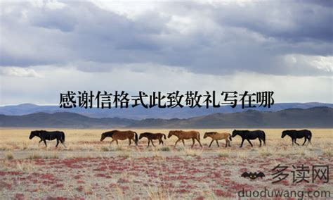 感谢信格式此致敬礼写在哪 多读网