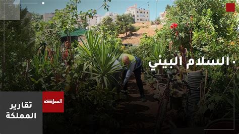 السلام البيئي مبادرة تهدف لزراعة 5000 شجرة في مدينة السلط Youtube