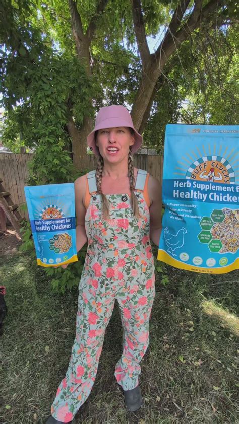 Do Chickens Have Sex How Chickens Reproduce Buff Clucks