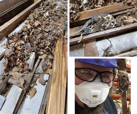 Kentucky Geological Survey On Linkedin Kgs Kentucky Geology Geoscience