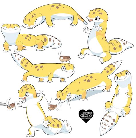 Reptile Series Leopard Gecko Cute Drawing Step By Step Guide To Draw Cute Geckos
