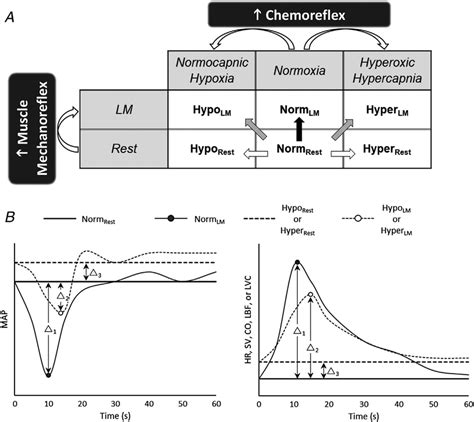 schematic representation of the individual and the concurrent
