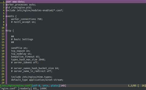 Ubuntu Server Nginx Magiclen