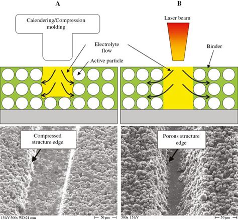 Capillary Structures Produced In Nmc By Embossing A In Comparison To Download Scientific