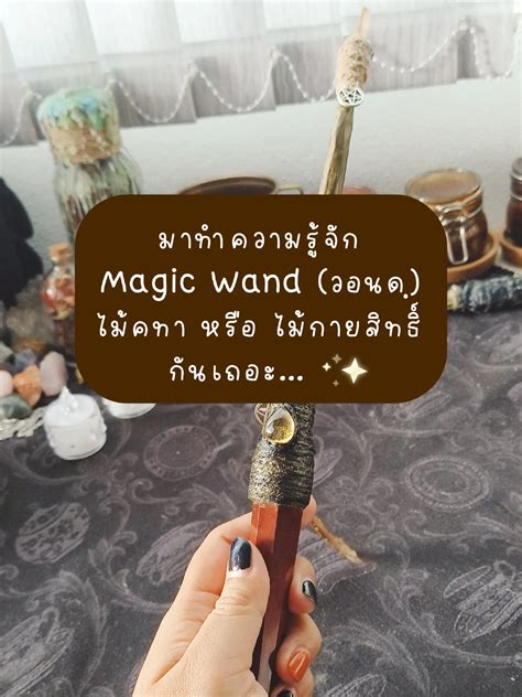 มาทำความรู้จัก Magick Wand กันเถอะ 🪄 แกลเลอรีที่โพสต์โดย Lunar De