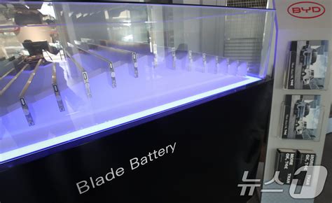Byd 전기차 한국 진출중국산 배터리 공포 어쩌나 뉴스1 Byd 전기차 한국 진출중국산 배터리 공포 어쩌나 뉴스1