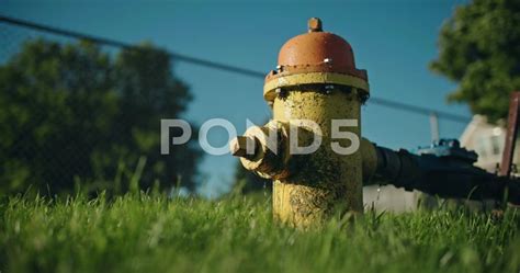 Leaking Fire Hydrant In Grass Closeup Water Dripping From Leaky Pipe Water Drip Hydrant