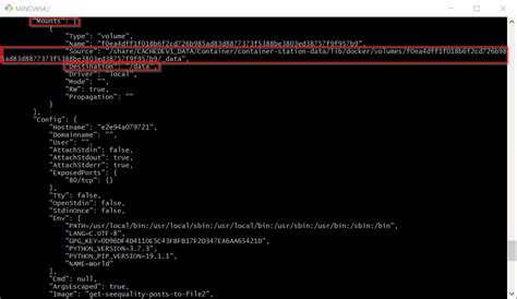 Docker Dla “amatora” Danych Cz 3 Dostęp Z Kontenera Do Plików Na