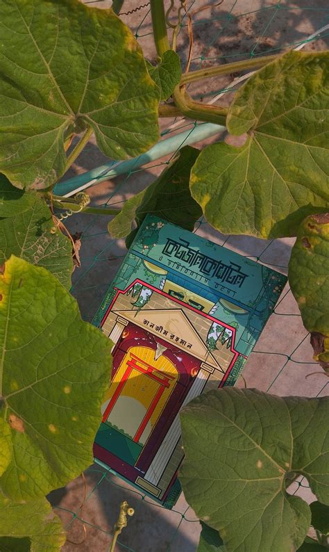 মুসার বইযাত্রা কেটজালকোয়াটল ও সৃষ্টিবিন্যাস রহস্য তানজীম রহমান আফসার ব্রাদার্স প্যাভিলিয়ন