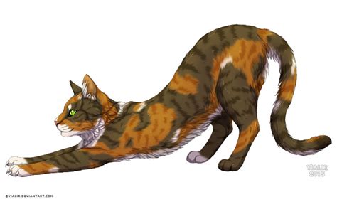 Warriors Cats Tawnypelt