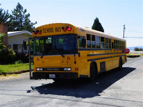 School Bus Kevin42135 Flickr