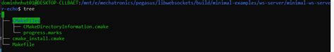How To Run Libwebsocket Example After Building Cmake Rcplusplus