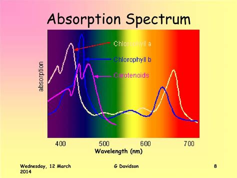 Absorption Spectrum Graph Explained At Patricia Sheffield Blog